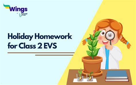 Holiday Homework For Class 2 Evs Interactive And Engaging Ideas Leverage Edu