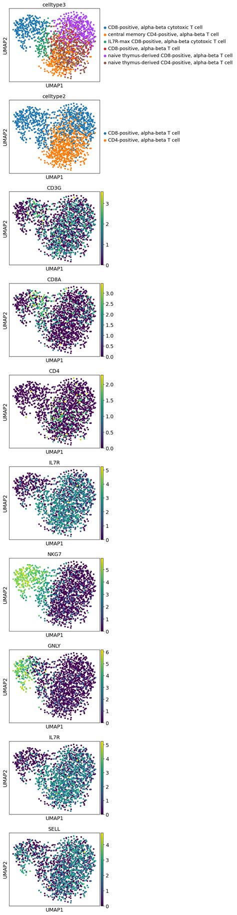 Notebook 2 Celltype Annotation And Beyond — Besca 24 Documentation