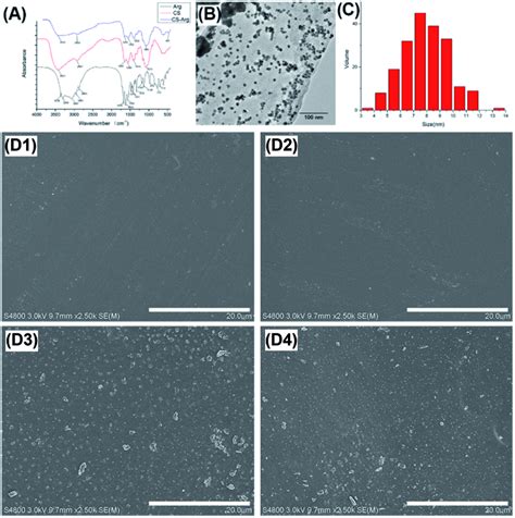 Ftir Spectra Of Cs Arg And Cs Arg A Tem Of Cs Arg Aunps B The Download Scientific