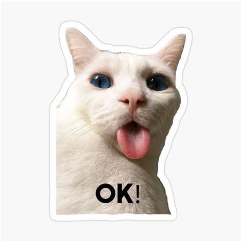 Cat Memes Stickers Cat Memes Funny Laptop Stickers Cute Stickers