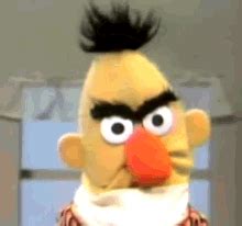 Bert Sesame Street  Bert Sesame Street Angry Puppet Discover