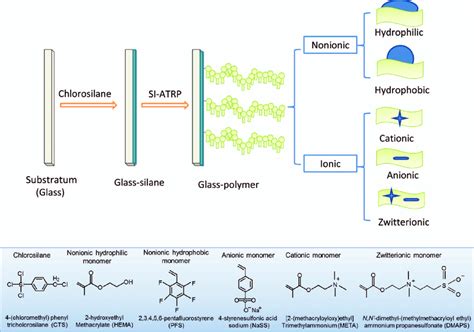 Schematic Illustration Of The Surface Functionalization Processes Via