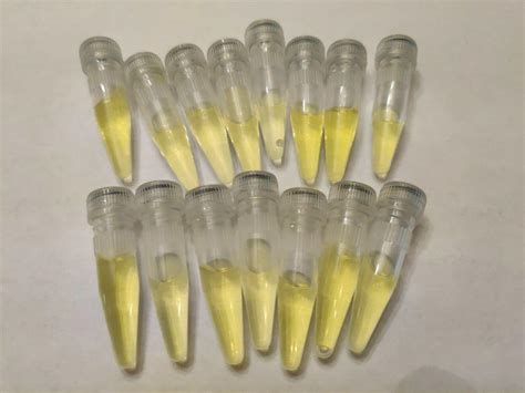 Jurassic Park Dinosaur Embryo Cryocan Prop Replica 15 Unlabeled Test Tubes 3890474863
