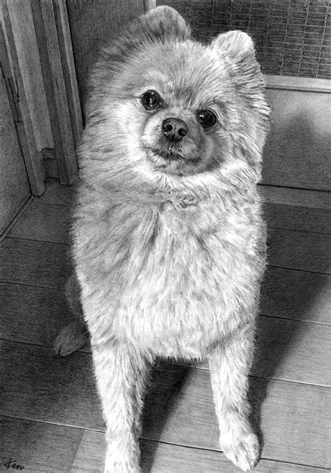 オーダーメイド サンプル 犬の絵 鉛筆画 絵画 Enpitsuya 通販 16195485｜creemaクリーマ