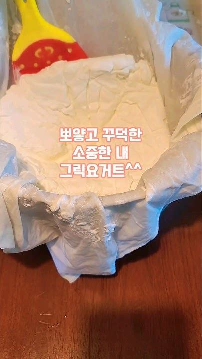 서울우유 플레인요거트로 꾸덕한 그릭요거트 만들기 비싼 그릭요거트 집에서 양껏 먹자 다이어트식단 그릭요거트 그릭요거트