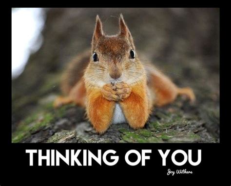 Thinking Of You Squirrel Picture Creative Greeting Card Ideas Cute