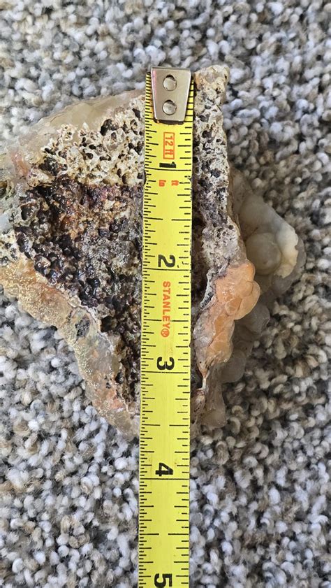 Botryoidal Agate Nodule Etsy