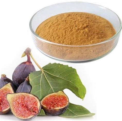 Ficin From Fig Tree Latex 9001 33 6 Wiki