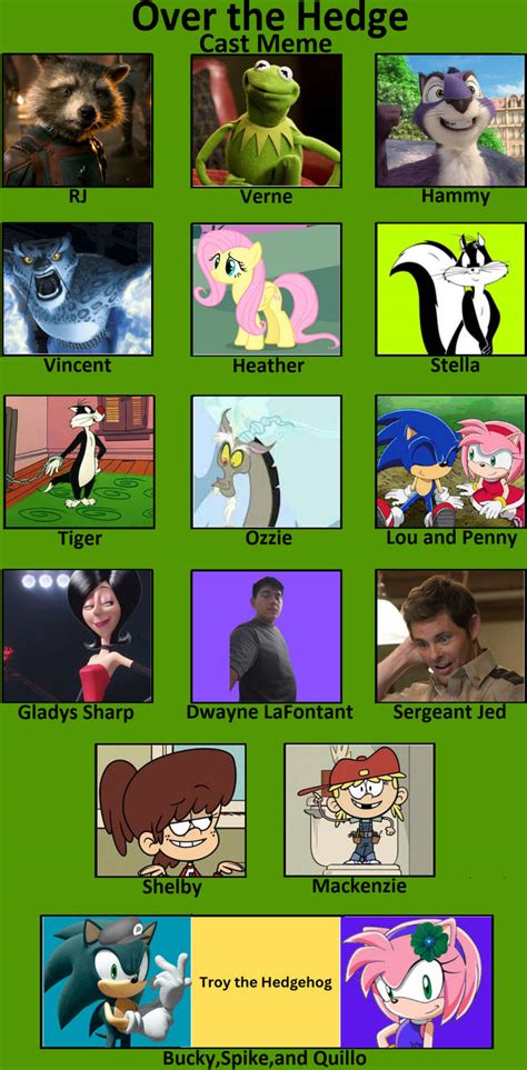 Over The Hedge My Version Cast Meme By Mtvfanatic2005 On Deviantart