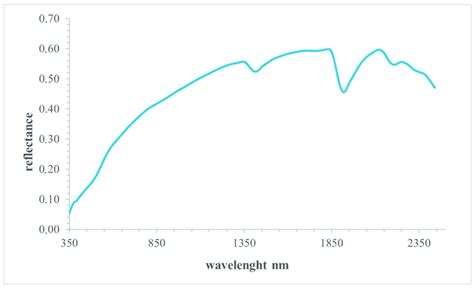 Reference Reflectance Spectrum For The Calculation Of Sid Sam Download Scientific Diagram