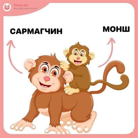 Эх хэл соёл Амьтдын үр төлийг зөв нэрлэж сураарай