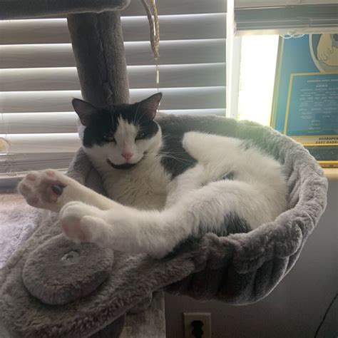 ‎logan Fausts Profile • Letterboxd