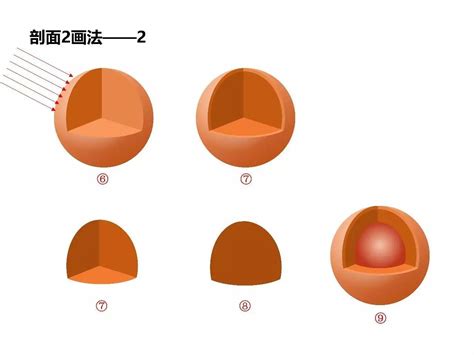 Ppt科研作图⑪——细胞核及球体剖面 如图所示张老湿科研绘图