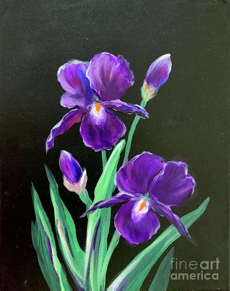Iris Paintings