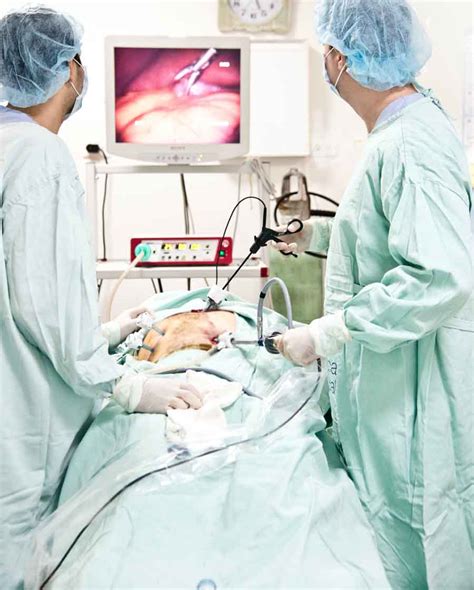 How Will I Feel After Colonoscopy Klarity Health Library