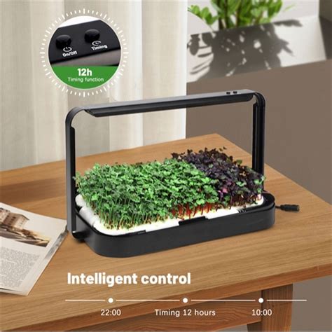 Hydroponic Microgreens Microgreens Growing System Hydroponic Microgreens System Indoor Micro
