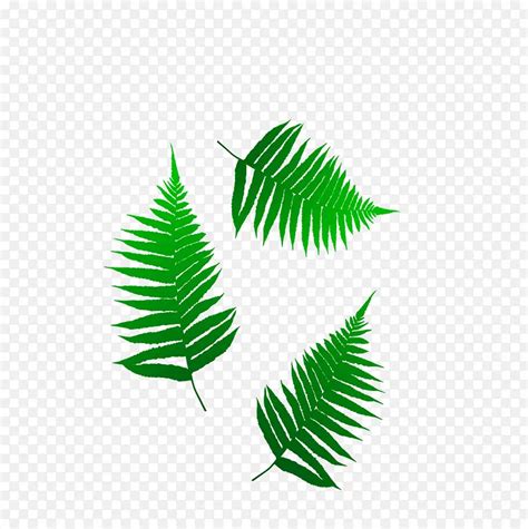 松叶png图片素材下载 图片编号8518744 Png素材网