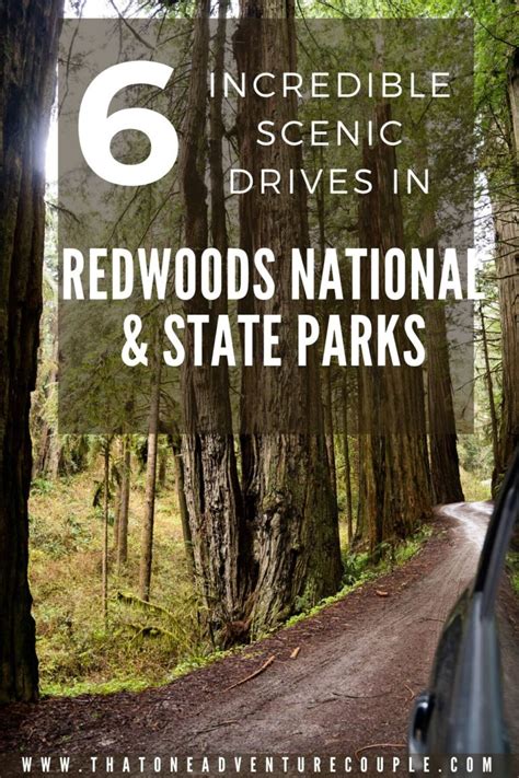 6 Incredible Scenic Drives To Take Through The Redwoods National And