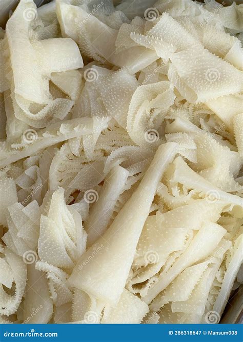 Fresh White Raw Cow Tripe Stock Image Image Of Traditional 286318647