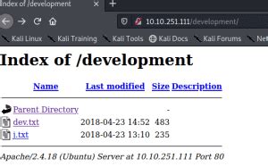 Basic Pentesting On Tryhackme The Dutch Hacker