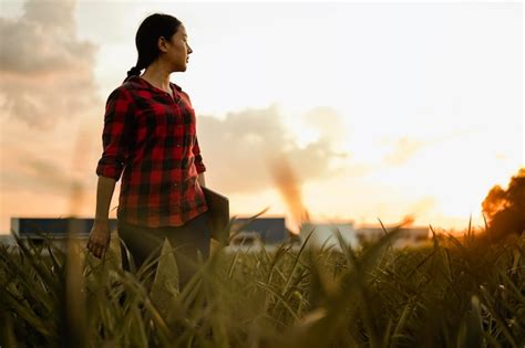 Premium Vector Cassava Tree Plant With Roots
