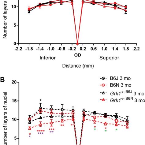 Outer Nuclear Layer Thickness The Nuclei Of The Onl Were Stained And