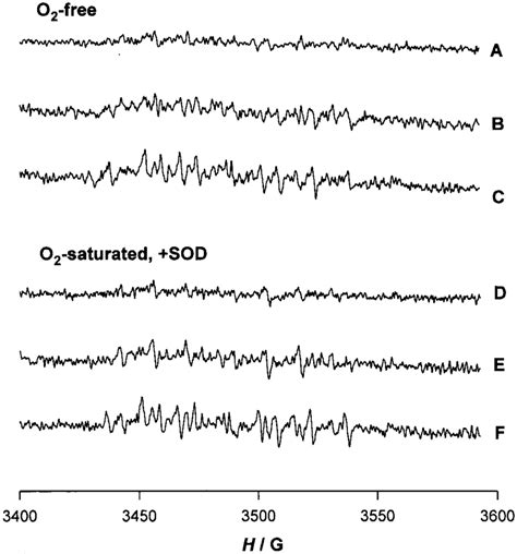 Further Evidence For Superoxide Formation From Autoxidation Of