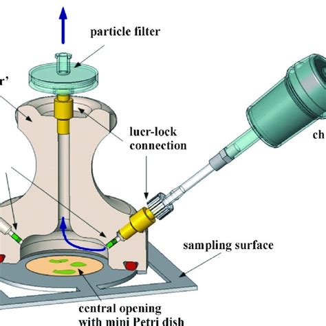 Confusion Matrix Sw Staphylococcus Warneri Bs Bacillus Subtilis