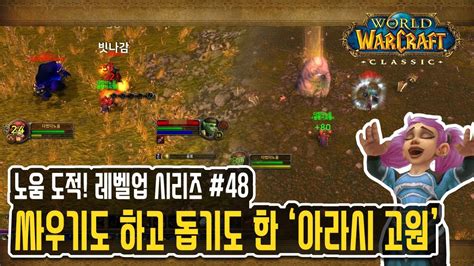 필드쟁 협력 아라시 고원 퀘스트2 와우 클래식 노움 도적 레벨업 시리즈48 월드오브워크래프트 Wow Youtube