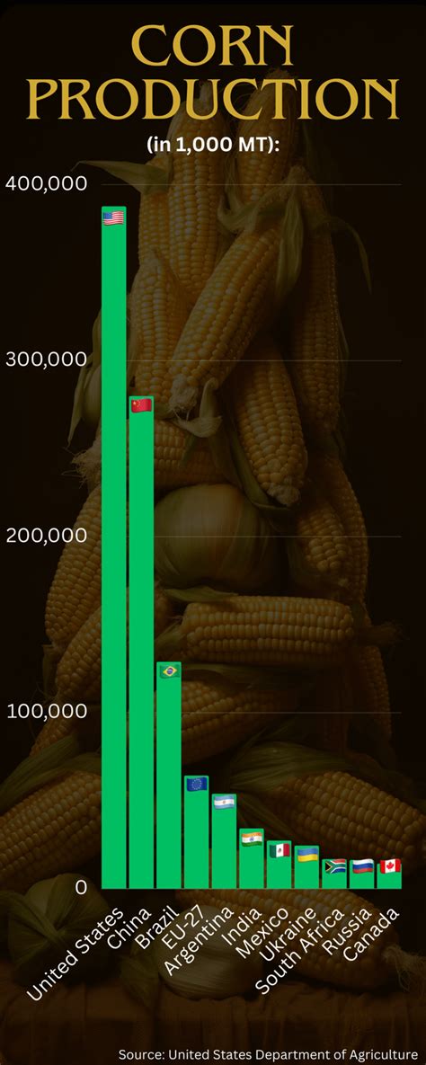 Global Corn Production Rinfographics