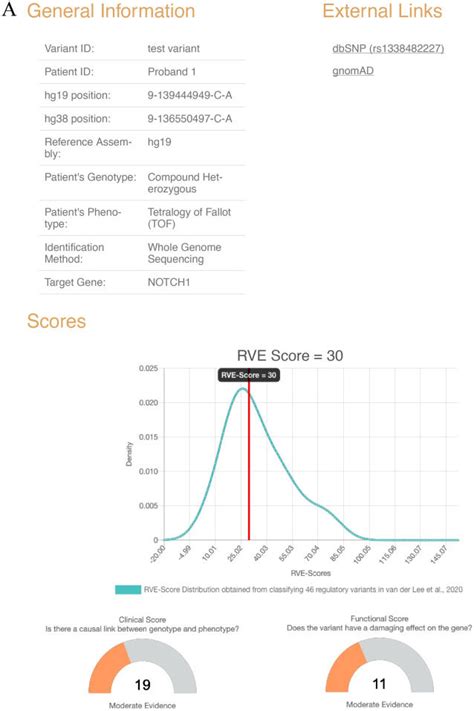 revup report obtained for the scoring of the non coding variant in the