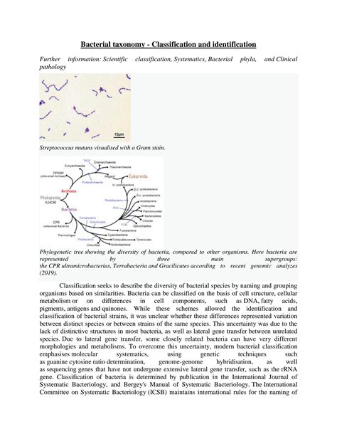 Bacterial Taxonomy Classification Nomenclature Identification Eroppa