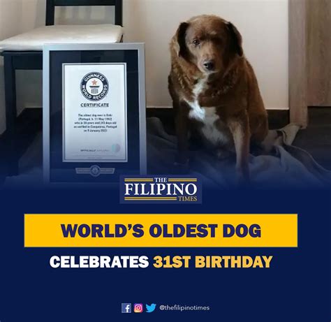 Happy Birthday Bobi 🎉🐕 Bobi The The Filipino Times Facebook