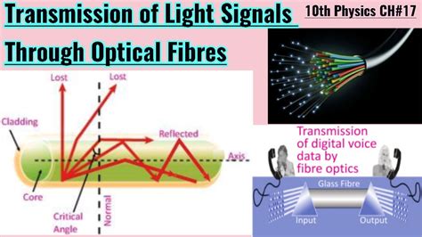 Fiber Optic Velocity Of Light At Carole Barnes Blog