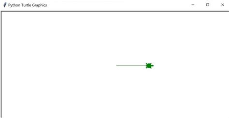 What Are Turtles In Python And How Do They Work