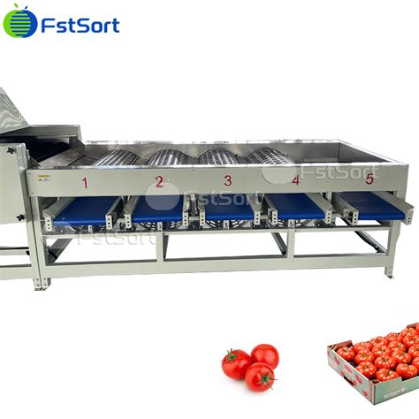 Fstsort Tomato Sorting Machine Tomato Selection Equipment Drum
