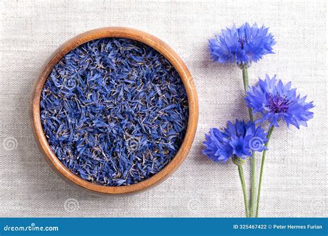Blue Cornflower Stock Image 43259893