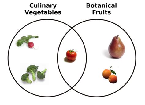 Whats Really The Difference Between Fruit And Vegetables Seasoned Advice