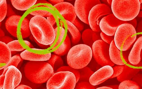 Hemoglobin Deficiency ఈ ల‌క్ష‌ణాలు క‌నిపిస్తున్నాయా అయితే