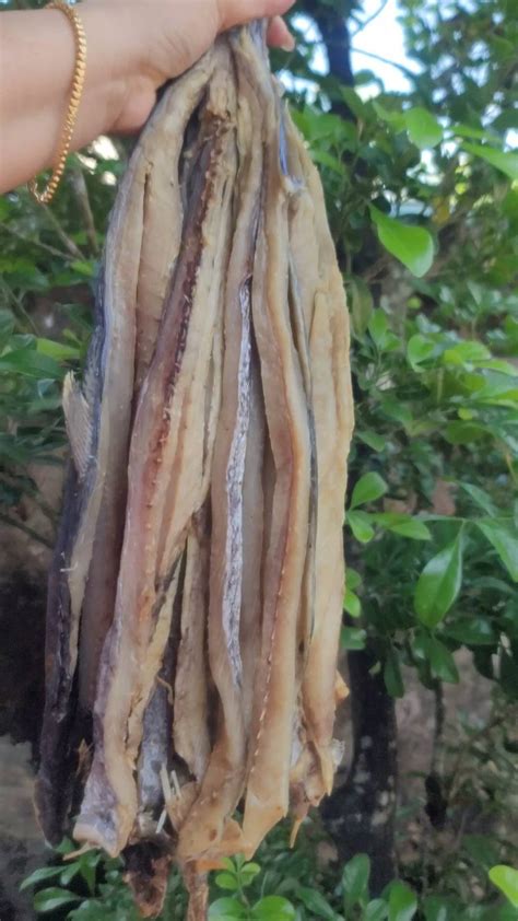 မော်လမြိုင်ငါးကွမ်းရှပ်တွေရဲ့ လှချက်တွေကိုကြည့် အလတ်ဆိုဒ် သုံးကောင