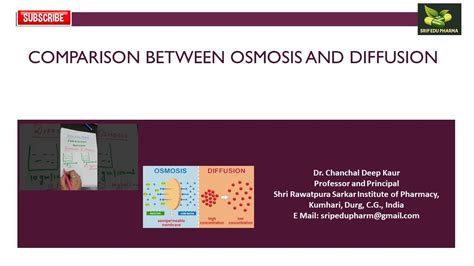 Comparison Between Diffusion And Osmosis Youtube