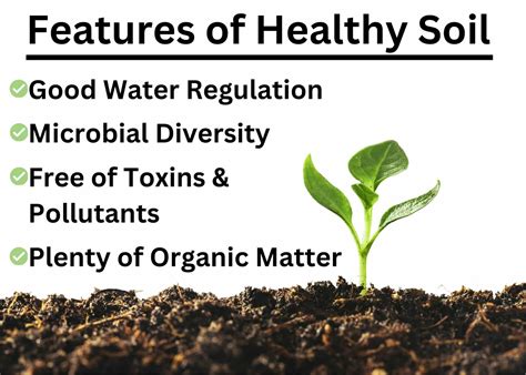 Healthy Soil Happy Plants Techniques For Soil Improvement