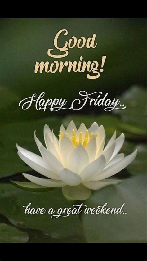 Start Your Friday With These Inspiring Good Morning Quotes And Pictures