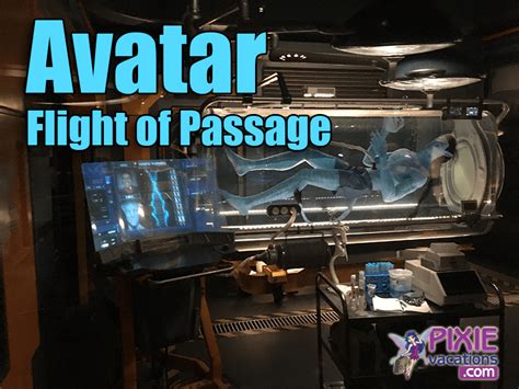 11 Pandora The World Of Avatar Tips From Disney Park Gurus