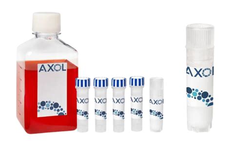 Ipsc诱导多能干细胞全流程解决方案 上海曼博生物医药科技有限公司