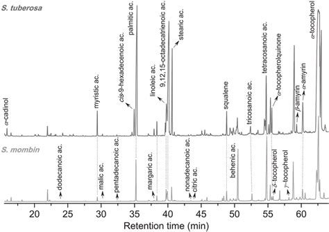 Chromatograms Same Scale Obtained By Gc Ms Of The Hexane Extracts
