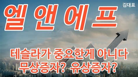엘앤에프 무상증자 유상증자 가능성 ㅣ 엘앤에프 엘앤에프주가 엘앤에프2차전지 엘앤에프목표가 엘앤에프실적 엘앤에프테슬라 엘앤에프양극재 엘앤에프전기차 엘앤에프주가전망