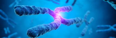 Imprinted Gene Detection Improves Diagnostic Accuracy For Papillary