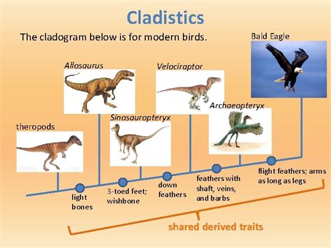 The Three Domains Of Living Organisms Classification Vocabulary