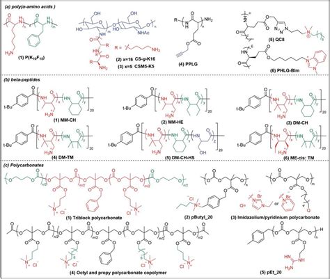 Chemical Structures Of Cationic Antimicrobial A Polya Amino Acids